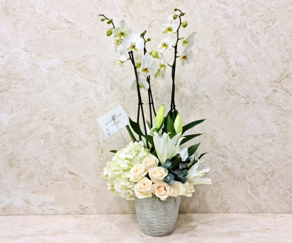Leaf Flowers Kuwait | Online Fresh Flowers & Delivery